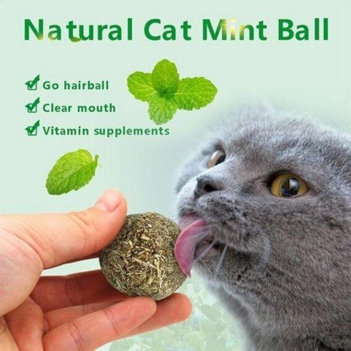 Natural Catnip Ball (2pcs) – bibtic